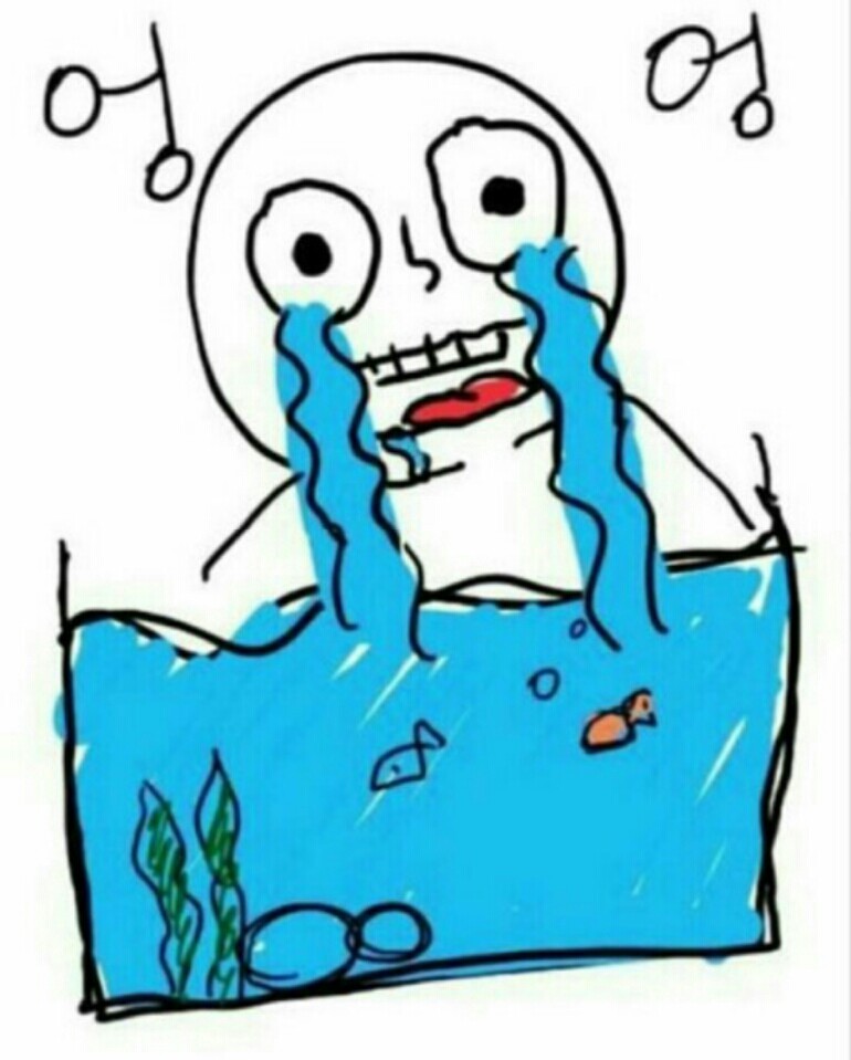 익들아 민증사진 찍을 때 화장 뭐뭐 했어?????¿?????!??안경은???¿???!? - 인스티즈(instiz) 일상 카테고리