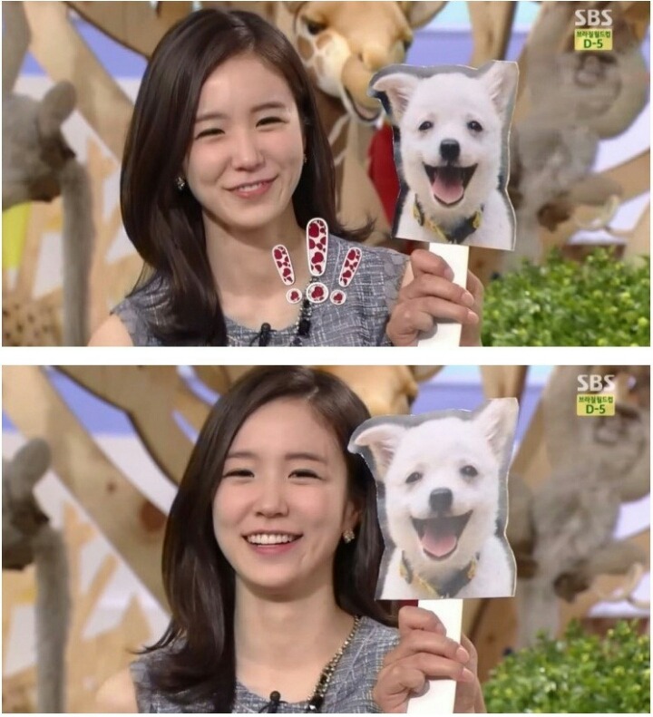 SBS 강아지상 - 인스티즈(instiz) 인티포털 카테고리