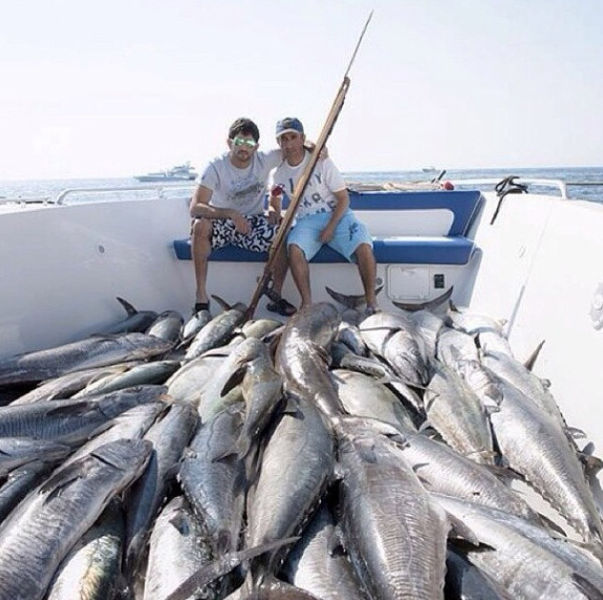 UAE 어느 왕자의 삶 bgm - 인스티즈(instiz) 이슈 카테고리