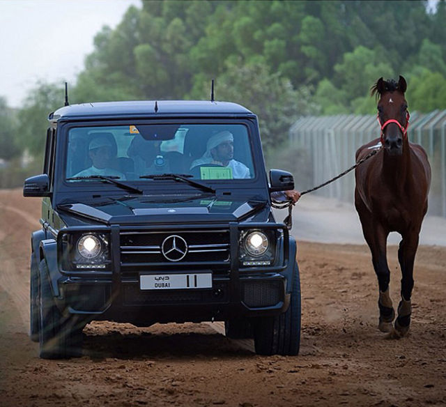 UAE 어느 왕자의 삶 bgm - 인스티즈(instiz) 이슈 카테고리