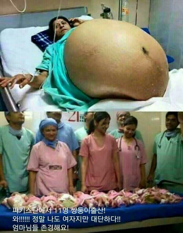 파키스탄 11쌍둥이 ㄷㄷㄷㄷ - 인스티즈(instiz) 오싹공포 카테고리