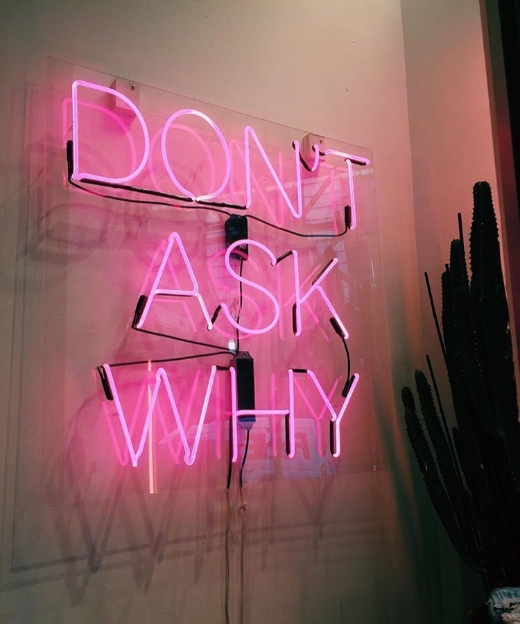 Notice Me - bj 화정 - 인스티즈(instiz) 유튜버/스트리머 카테고리