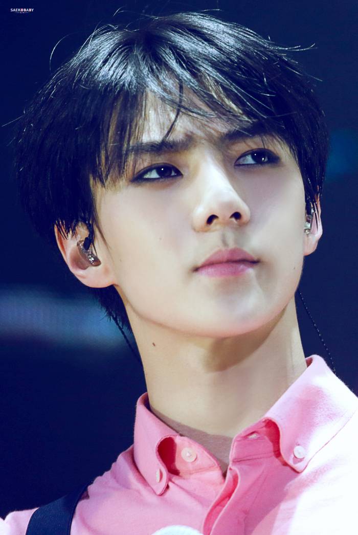 우리가 길에서 만나면 무릎 꿇을 남자아이돌 TOP4 - 인스티즈(instiz) 이슈 카테고리