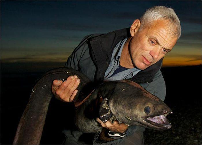 신기한 물고기를 직접 많이 잡기로 유명한 영국의 탐험가.jpg - 인스티즈(instiz) 인티포털 카테고리