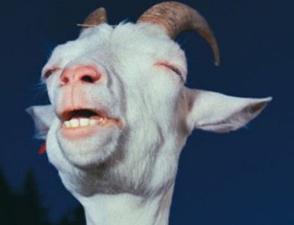 ㄱ 새벽에 발려서 털고 가는 재맠 엔씨티 라이프 떡밥 모음 - 인스티즈(instiz) 엔시티 카테고리